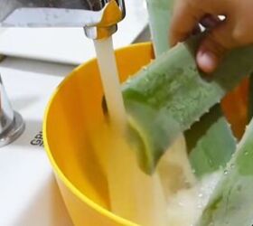 How to Make an Aloe Vera Hair Mask - Zero Waste Beauty | Upstyle