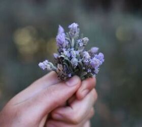 Easy Tutorial on How to Make Lavender Oil at Home | Upstyle