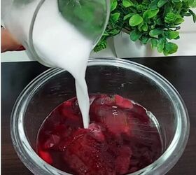 Stay Cool and Beautiful With This DIY Ice Roller Recipe | Upstyle